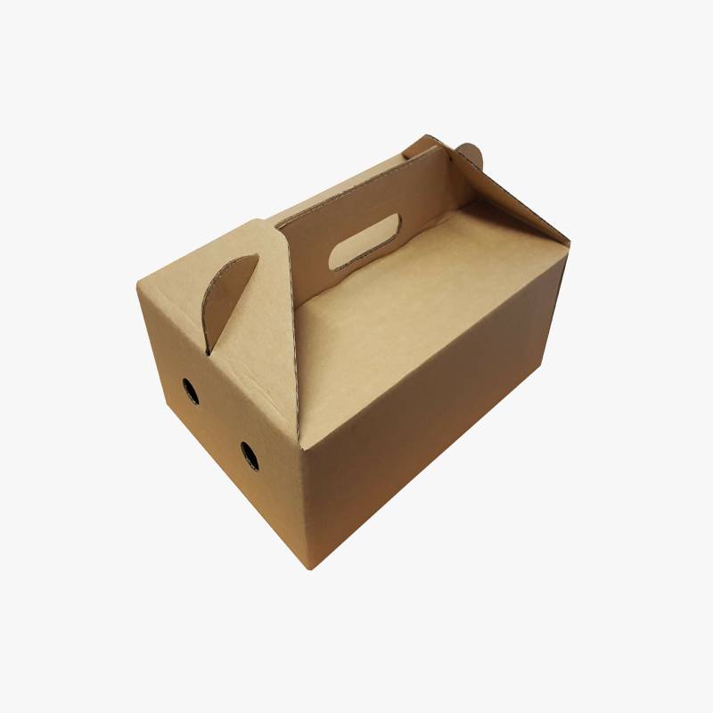 Take Away Box – WellPack Container Corporation